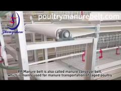 Ceinture de convoyeur de fumier en PP durable pour optimiser la gestion des déchets de poulet