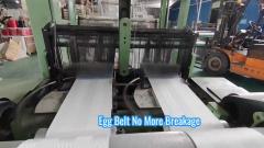 Egg Conveyor Belt Poultry Farm Efficiency