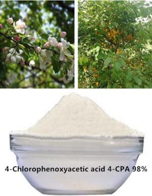 China Plant growth regulator 122-88-3 4-Chlorophenoxyacetic acid p-Chlorophenoxyacetic acid 4-CPA PCPA 98%TC for sale