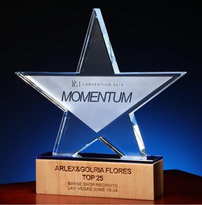 China Wooden Base Custom Resin Trophies Personalized Crystal Trophy Te koop