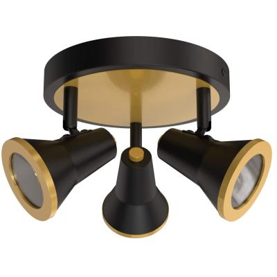 China Bathroom Lighting Fixtures, Black Ceiling Lamp 10.5