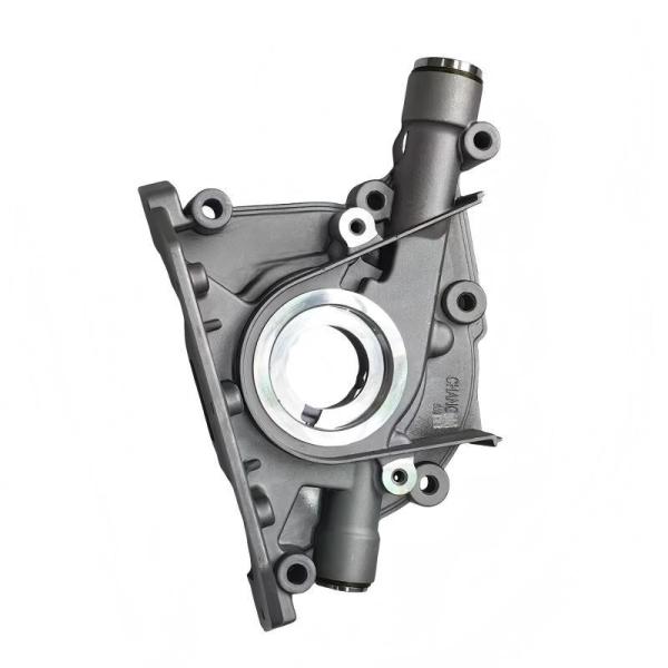 Quality High Wear Resistance Oil Pump for Changan CS75 - Direct Replacement Auto Parts Made of High-Quality Steel and Plastic for sale