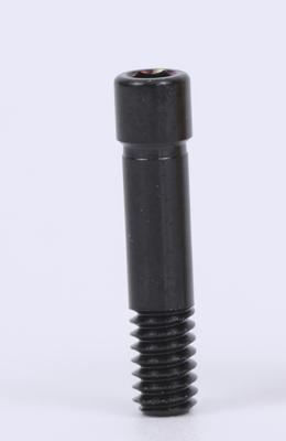 China Grade 5 Titanium Angled Screw Channel Abutment Biocompatible Corrosion Resistant for sale