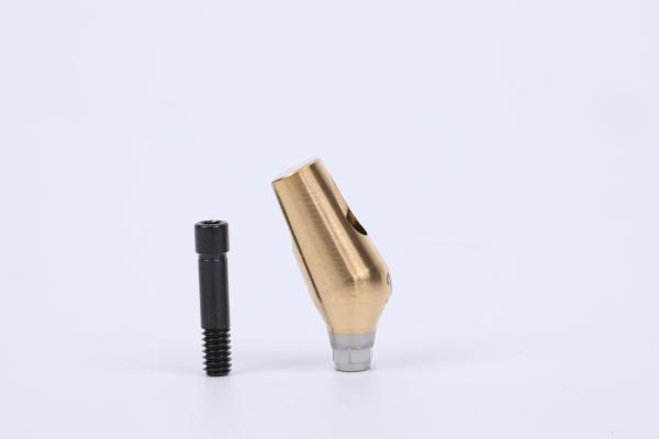Quality Grade 4 Medical Titanium Prosthetic Abutment Multi System With Adjustable Angle for sale