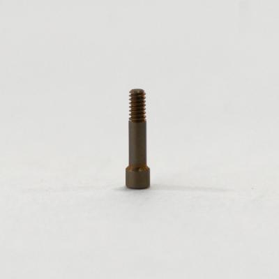 China Medical Grade Titanium Prosthetic Screws For Biotech Systems Guarantee Exceptional Strength And Long Term Clinical Stability. for sale