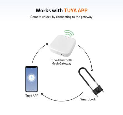 中国 TTlock / Tuya App ステンレス鋼 自転車ロック 指紋 Uロック -GL-P2 販売のため
