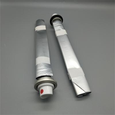 Cina Un sacchetto aerosol femminile da un pollice su valvola per una migliore consegna del prodotto in vendita