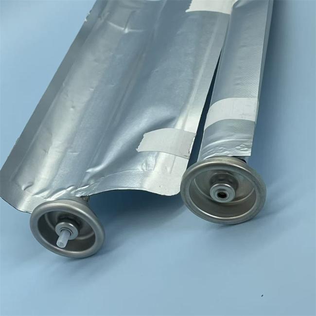 Bag-on-Valve assembly with flexible inner bag visible
