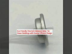 Duurzaam Een inch plastic meting klep voor waterzuiveringsinstallaties met lekkage - proof design