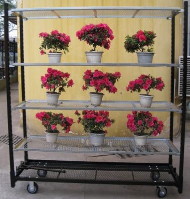 China Collapsible display flower racking cart with wheels for sale
