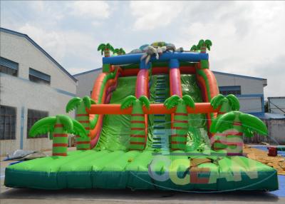 Cina Acquascivoli gonfiabili dello stagno per il CE degli acquascivoli giardino di divertimento/degli adulti in vendita
