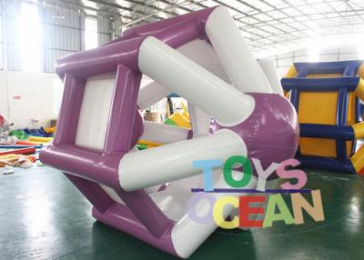 Cina Grande palla gonfiabile del criceto della ruota del rullo del cilindro dell'acqua per l'adulto/bambini in vendita