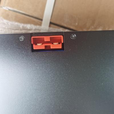 Cina Batteria per carrelli elevatori cinesi da 48V e 15AH con certificazione CE in vendita