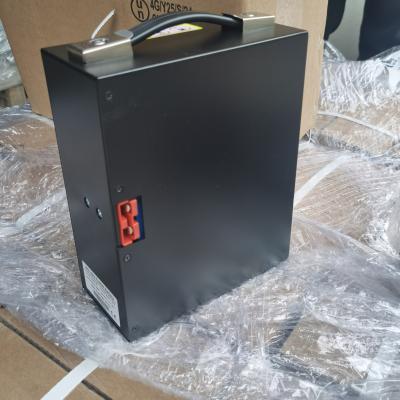 Cina Batteria per carrelli elevatori cinesi da 48V e 15AH con certificazione CE in vendita
