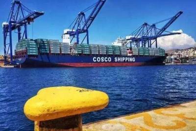 China GRAND RAPIDS，MI  LCL Ocean China warehouse pick up trucking Customs clearance for sale