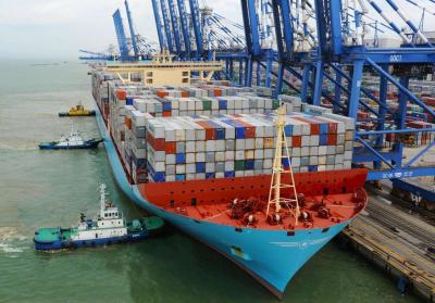 China HIDALGO，TX LCL Ocean China warehouse pick up trucking Customs clearance for sale