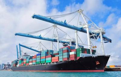 China MEM1 AVP1 SNA4 FBA AMAZON OCEAN shipping logistics 20 days to door warehouse customs clearance for sale