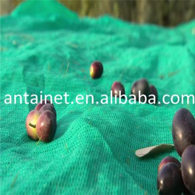 China Green 100% New HDPE Material Olive Harvesting Net, 50-200g/sqm, Factory for sale
