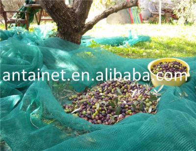 China green olive net/ olive harvest net/HDPE shade net for agriculture for sale