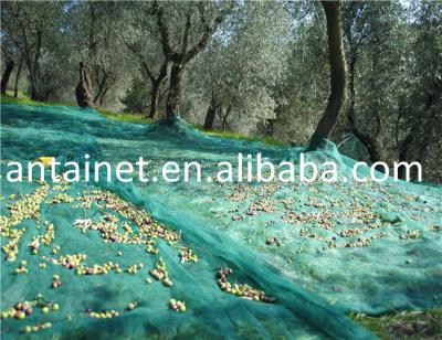 China HDPE Nature material olive net from China for sale