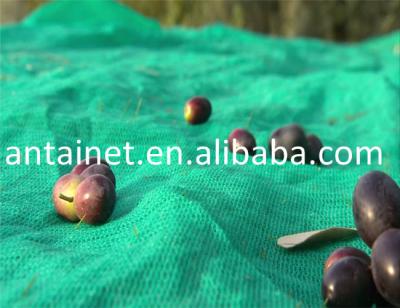 China UV stabilized plastic olive harvest net from China for sale
