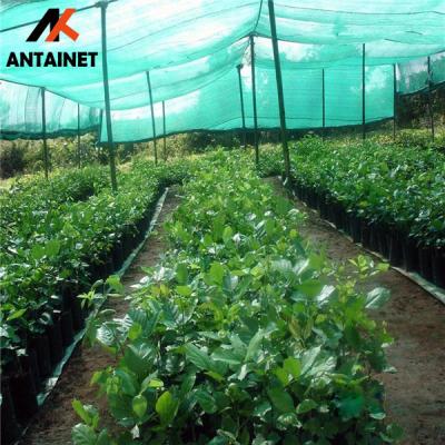 China virgin material green sun shade net from Antai Factory for sale