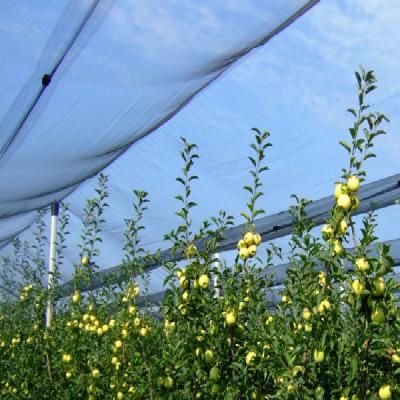 China Shandong antai produce HDPE with UV shade net green dark colors and hdpe Material for sale