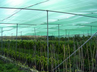 China Long Life HDPE Sand Color Agricultural Shade Nets / Greenhouse Shade Cloth for sale