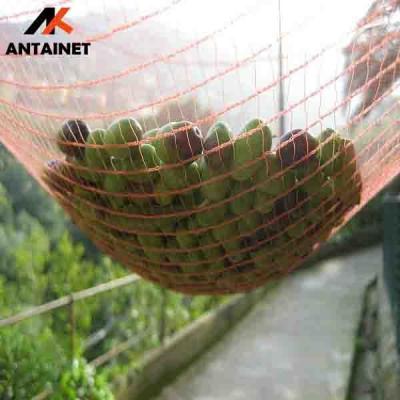 China 100% virgin HDPE 70-150gsm  plastic olive collection netting for sale