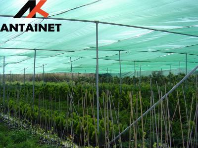 China Black Shade Mesh Net / Sunshade Cover Netting Greenhouse Sunlight Protect for sale
