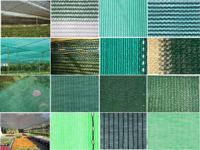 China Warp Knitted Black HDPE Agriculture Shade Net Custom UV Stabilzied 50gsm for sale