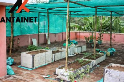 China 80 Gsm Green Virgin Horticultual Shade Netting 10%-99% Shade Rate for sale