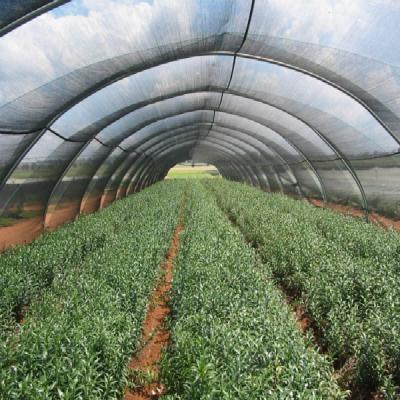 China HDPE Outdoor agricultural protection Shade Net for sale