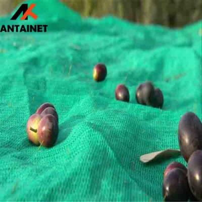 China 100% virgin HDPE falling olive harvest net for sale