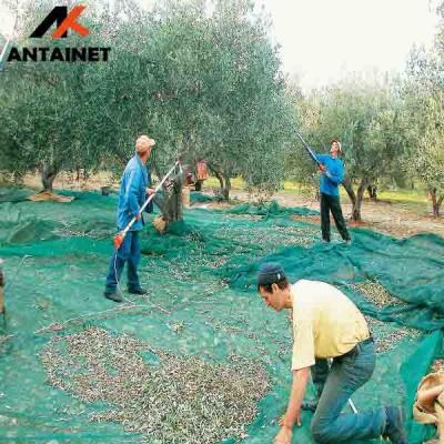 China olive harvest net for collecting olives and other fruits during harvest seasons for sale