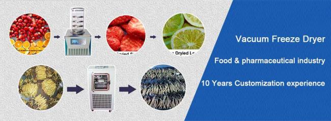 TOPTION vacuum freeze dryer