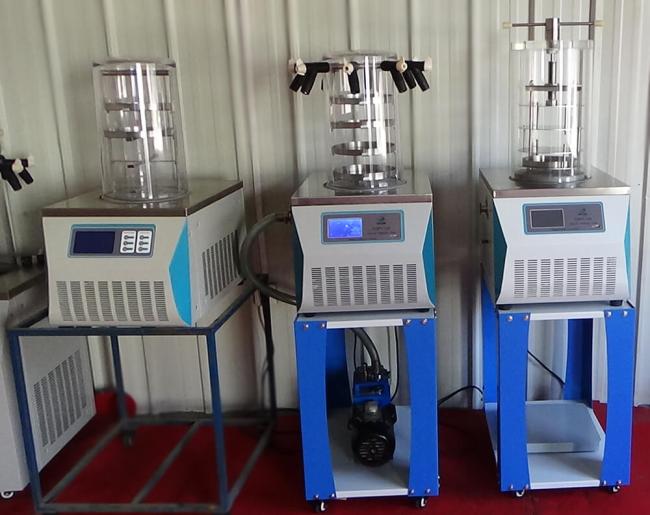 vacuum freeze dryer factory