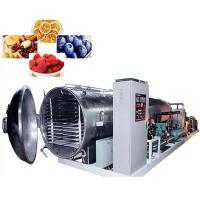 China Vacuum Freeze Fruit And Vegetable Lyophilizer Dried Drying Machine for sale
