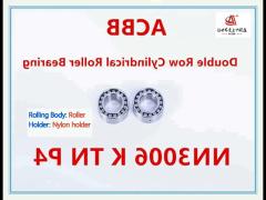 Roulement à rouleaux cylindrique de rangée de double de NN3006 K TN P4