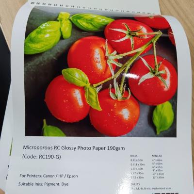 中国 大型印刷のためのプレミアム・グロシー・サーフェス RCインクジェット写真紙 販売のため
