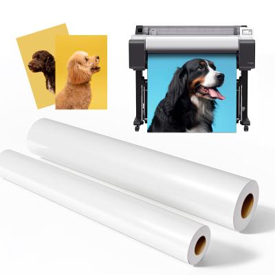 중국 엡손 대형 프린터용 260gsm 마이크로포러스 RC 러스터 포토 용지 롤 판매용