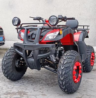 China Tamanho do pneu de 10 polegadas Logotipo personalizado 200cc 250cc ATV adulto 4 rodas UTV Off-Road Quad Bike à venda