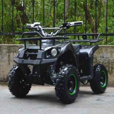 China ATV elétrico de 800W para crianças e adultos Leve suas aventuras fora de estrada para o próximo nível à venda