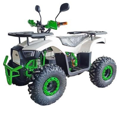 中国 36V ミニ電動ATV アウトドアクワッド 子供と大人のための 800Wシャフトドライブオフロードバイク 販売のため