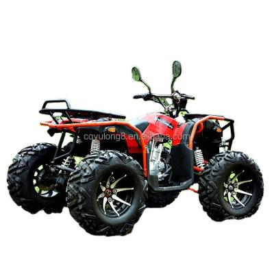 Cina Personalizza la tua corsa Big Bull 300cc 4*4 Adult Off-Road ATV con 300mm di distanza da terra in vendita