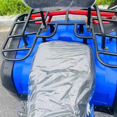 Cina Drift Kart all'aria aperta ATV a quattro ruote motrici 550cc 850cc 1000cc per avventure all'aria aperta in vendita