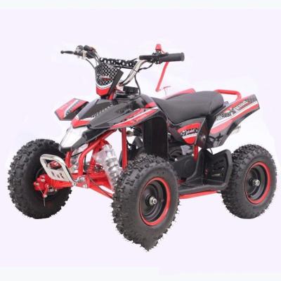 Cina Display LCD Motociclo elettrico quattro ruote quadriciclo 500W 800W per bambini adulti in vendita