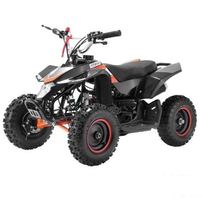 Cina Display LCD Motociclo elettrico quattro ruote quadriciclo 500W 800W per bambini adulti in vendita
