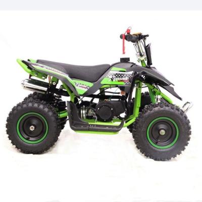 Cina Display LCD Motociclo elettrico quattro ruote quadriciclo 500W 800W per bambini adulti in vendita