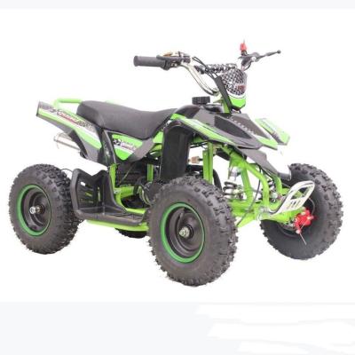 Cina Display LCD Motociclo elettrico quattro ruote quadriciclo 500W 800W per bambini adulti in vendita